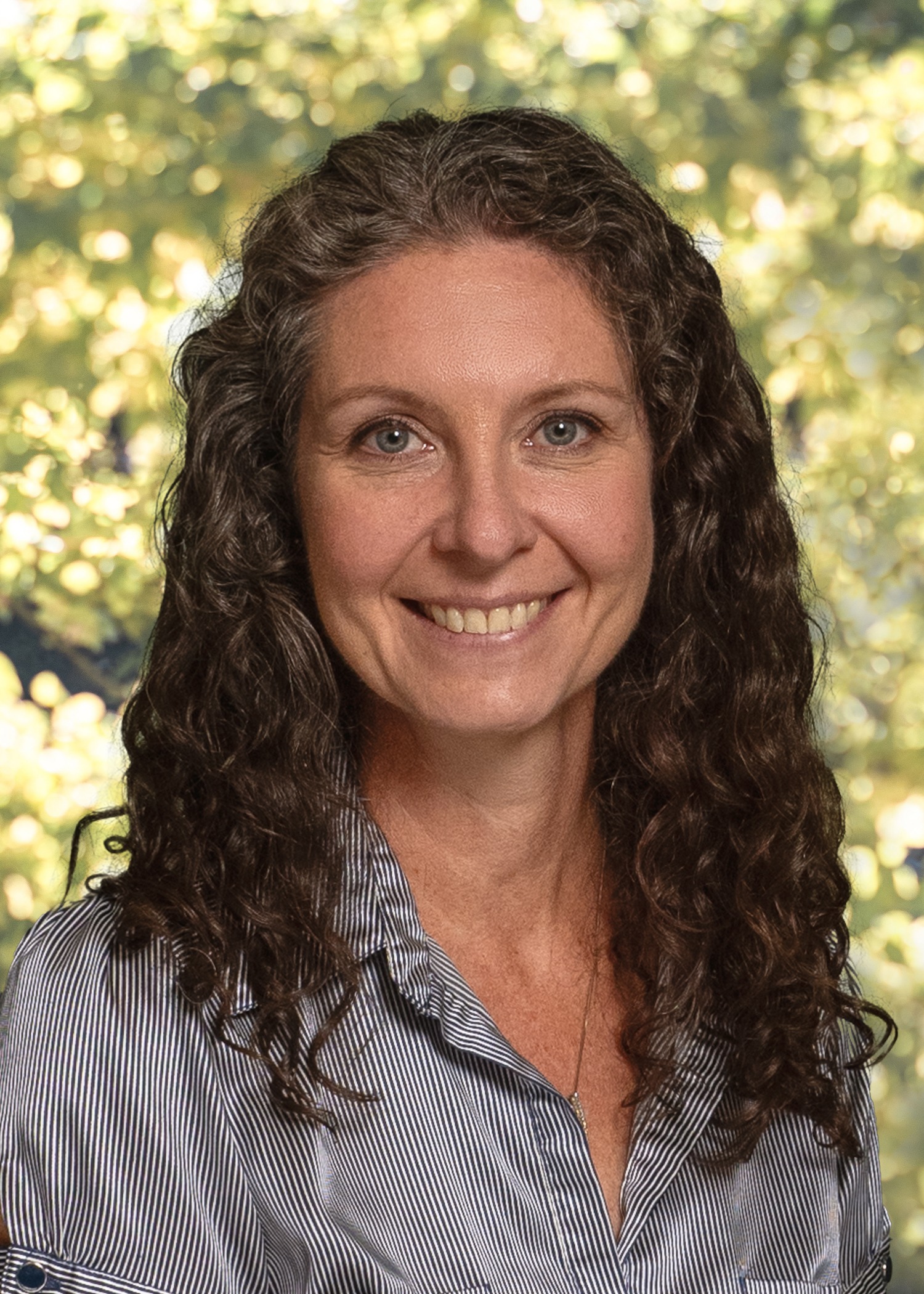 Contact Us – Rockway Mennonite Collegiate